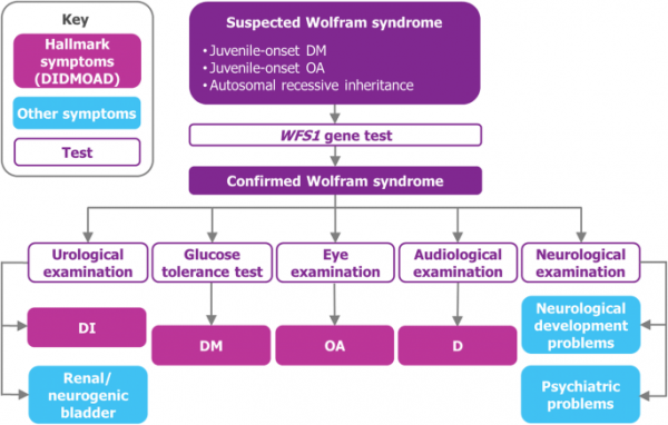 Wolfram Syndrome UK